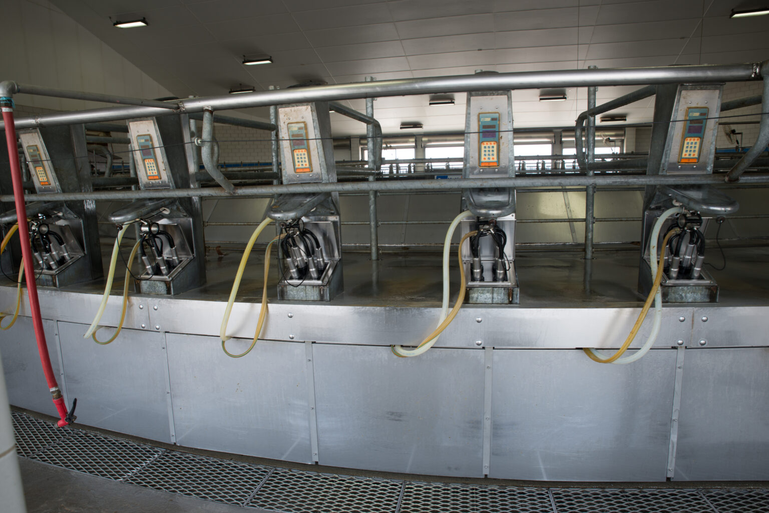 Parlors | Innovative Dairy Solutions