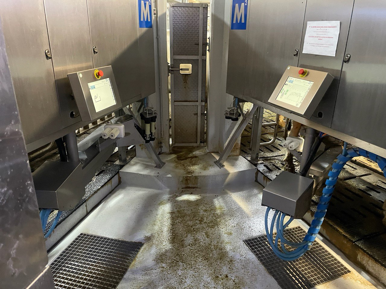Milking | Innovative Dairy Solutions
